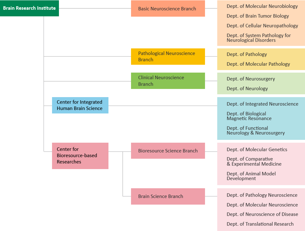 Organization Chart | Brain Research Institute, Niigata University
