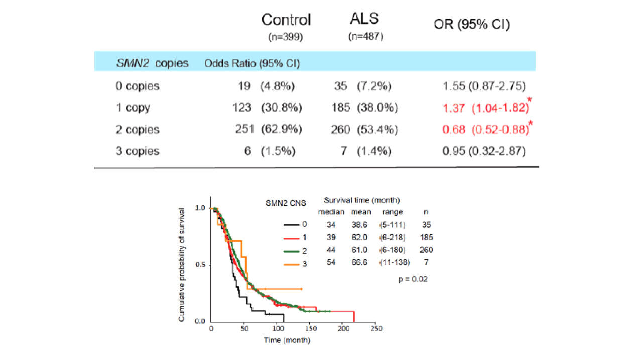 SMN2 gene copy number affects the incidence and prognosis of motor ...