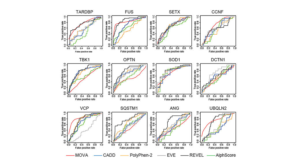 Accuracy of a machine learning method based on structural and locational information from ...
