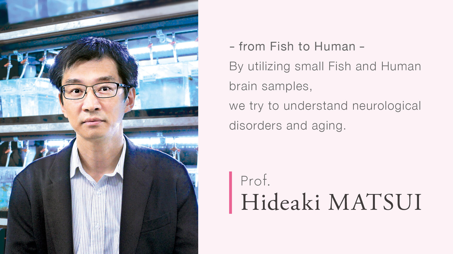 Neuroscience of Disease | BRI Departments | Brain Research Institute, Niigata University