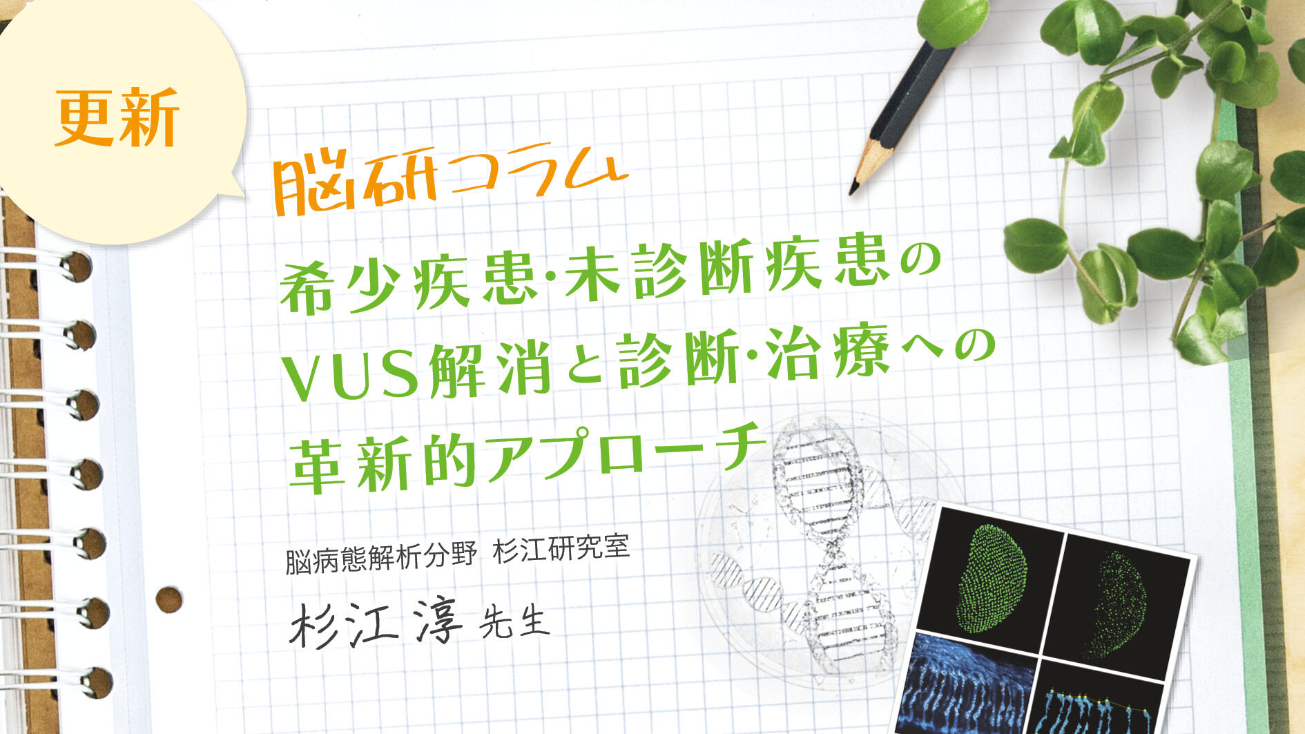 希少疾患・未診断疾患のVUS解消と診断・治療への革新的アプローチ | 脳研コラム | 新潟大学脳研究所(脳研)